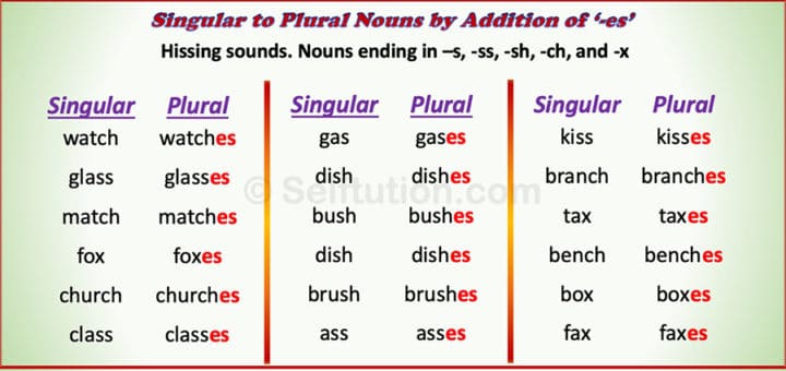 Rules of Singular and Plural Nouns with Examples » Selftution