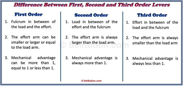 Types Of Levers First Second And Third Order Examples Selftution