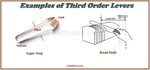 Types of Levers: First, Second & Third Order Examples » Selftution