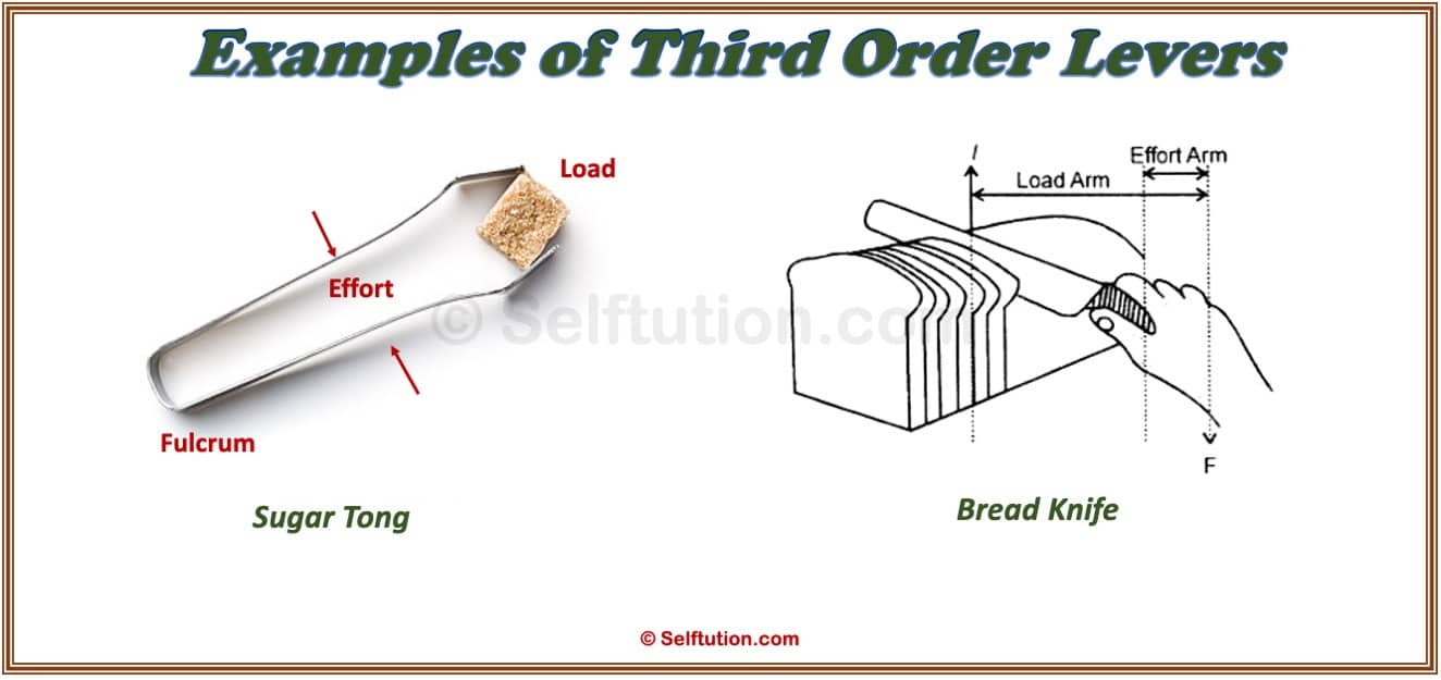 Types of Levers: First, Second & Third Order Examples » Selftution Types of Levers: First, Second & Third Order Examples » Selftution