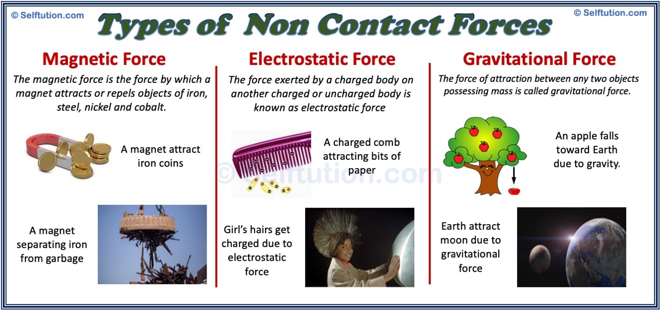 Types of Forces in Physics with Examples » Selftution