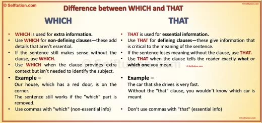 Difference Between WHICH and THAT with Examples » Selftution