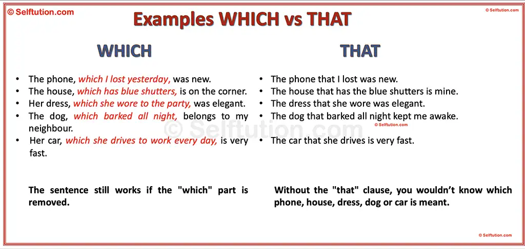 Difference Between WHICH and THAT with Examples » Selftution