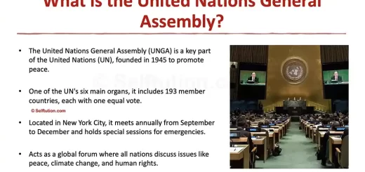 Six (6) Bodies or Organs of The United Nations » Selftution