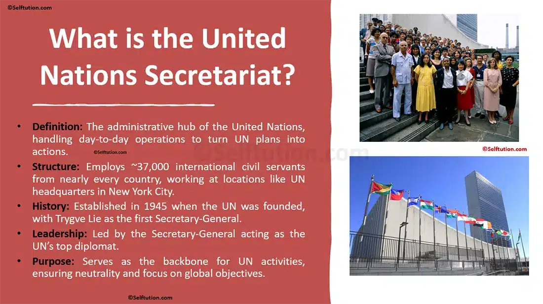 United Nations Secretariat: Its Roles and Objectives » Selftution